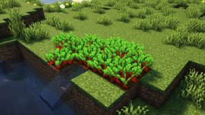 Fancy Crops Resource Pack 1.21 / 1.20 - Minecraft Texture Packs