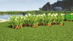 Fancy Crops Resource Pack 1.21 / 1.20 - Minecraft Texture Packs