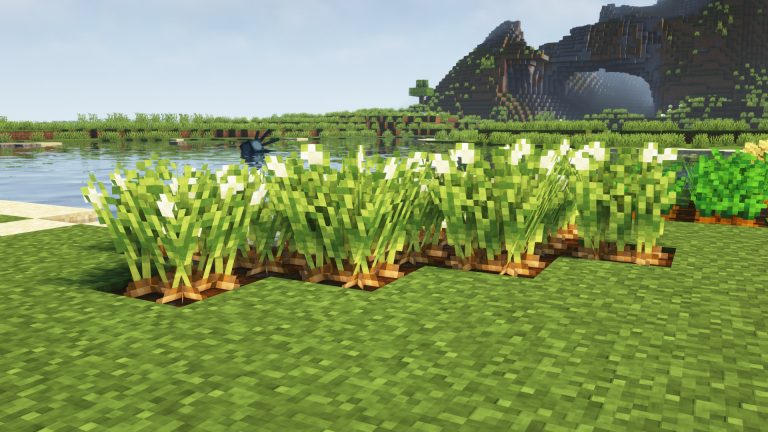 Fancy Crops Resource Pack 1.21 / 1.20 - Minecraft Texture Packs