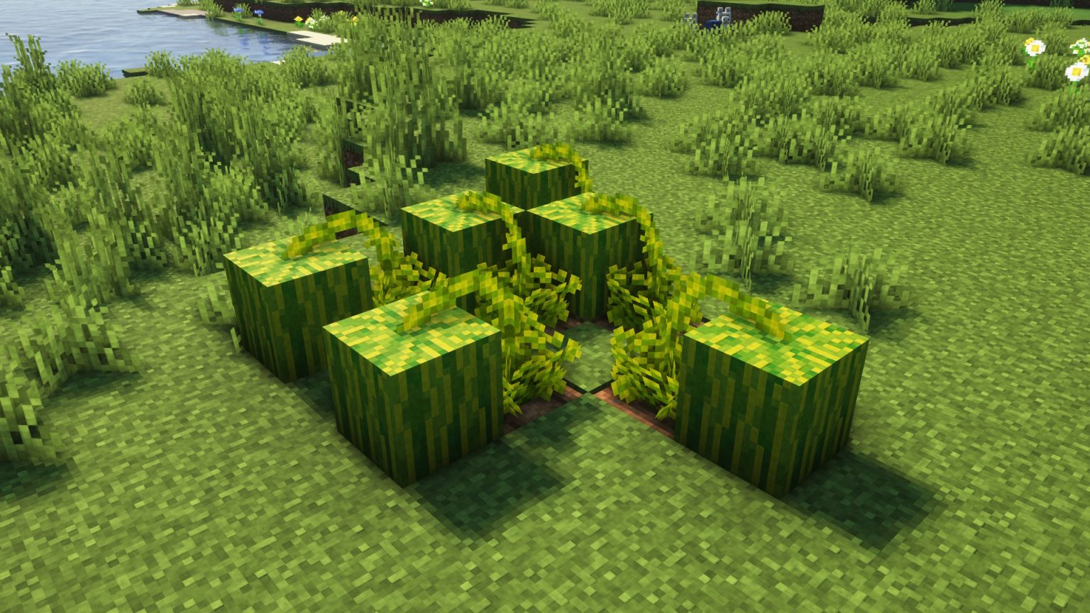 Fancy Crops Resource Pack 1.21 / 1.20 - Minecraft Texture Packs
