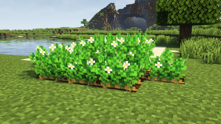 Fancy Crops Resource Pack 1.21 / 1.20 - Minecraft Texture Packs